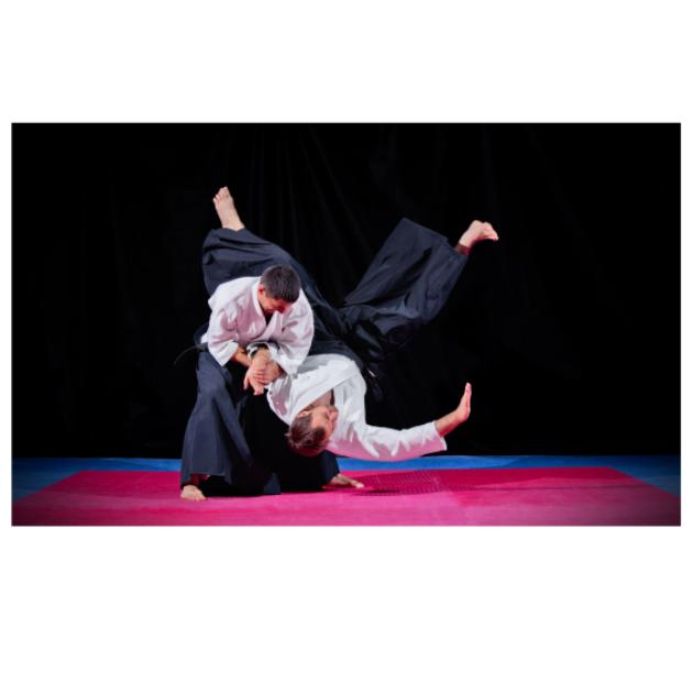 AIKIDO CLASSES